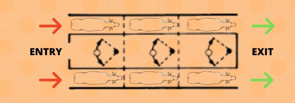 7 Types of Milking Parlors | Best for Dairy Farms