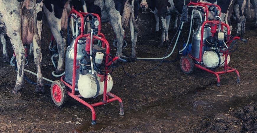 8 Best Portable Machines For Your Dairy Farm
