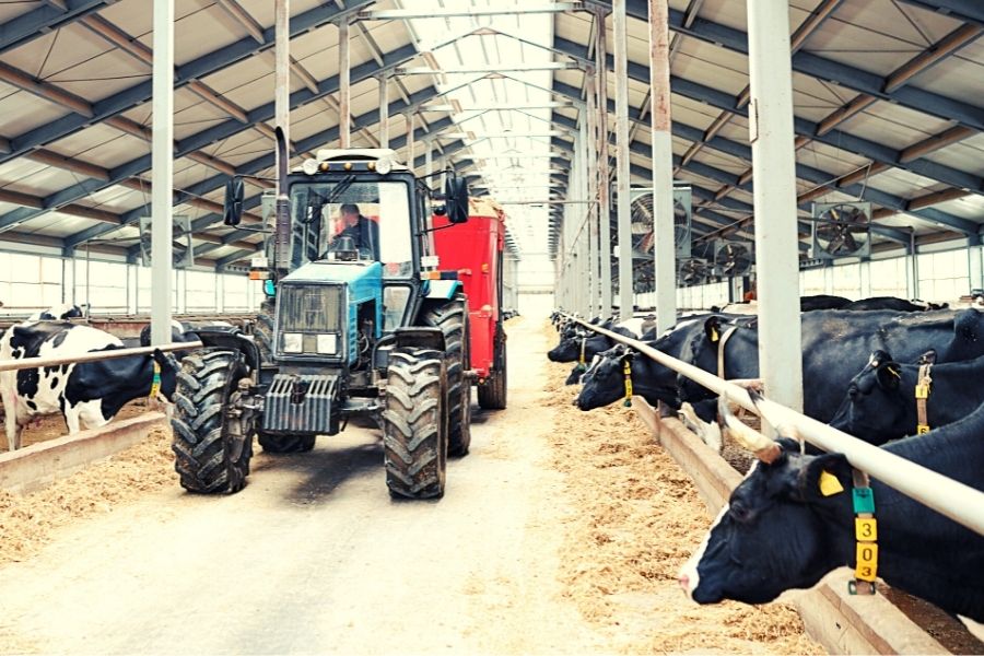 Do You Need a Tractor for your Dairy Farm? (Some Useful facts)