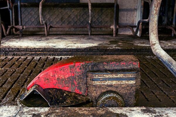 Dairy Barn Cleaning Robots (All You Need To Know)